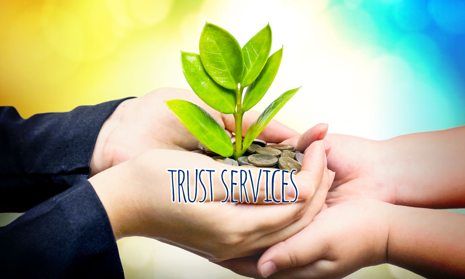 Credit Union Trust Services | RBFCU Investments Group